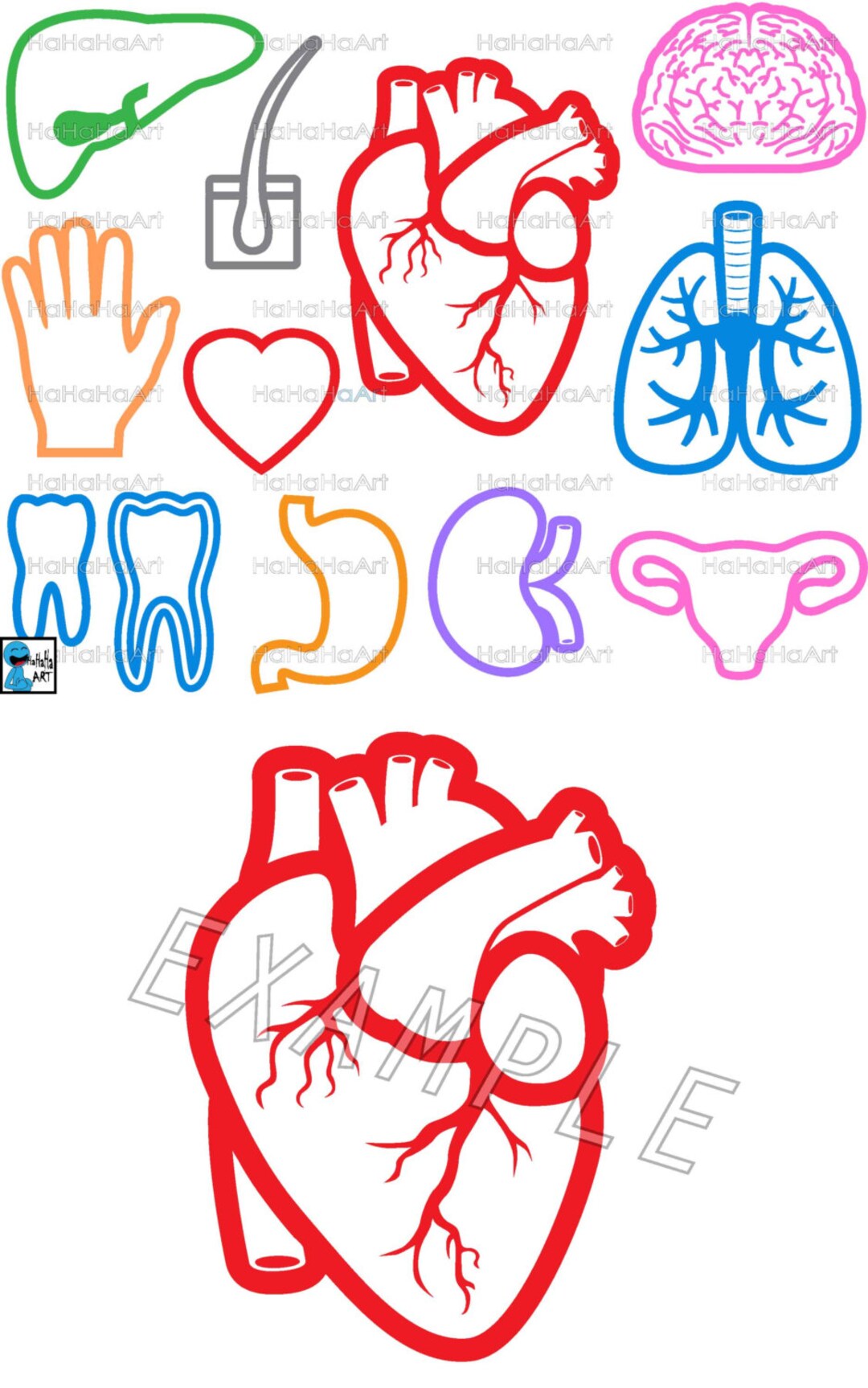 Organs Monogram SVG Bundle: Medical Anatomy Clipart (digital Download ...