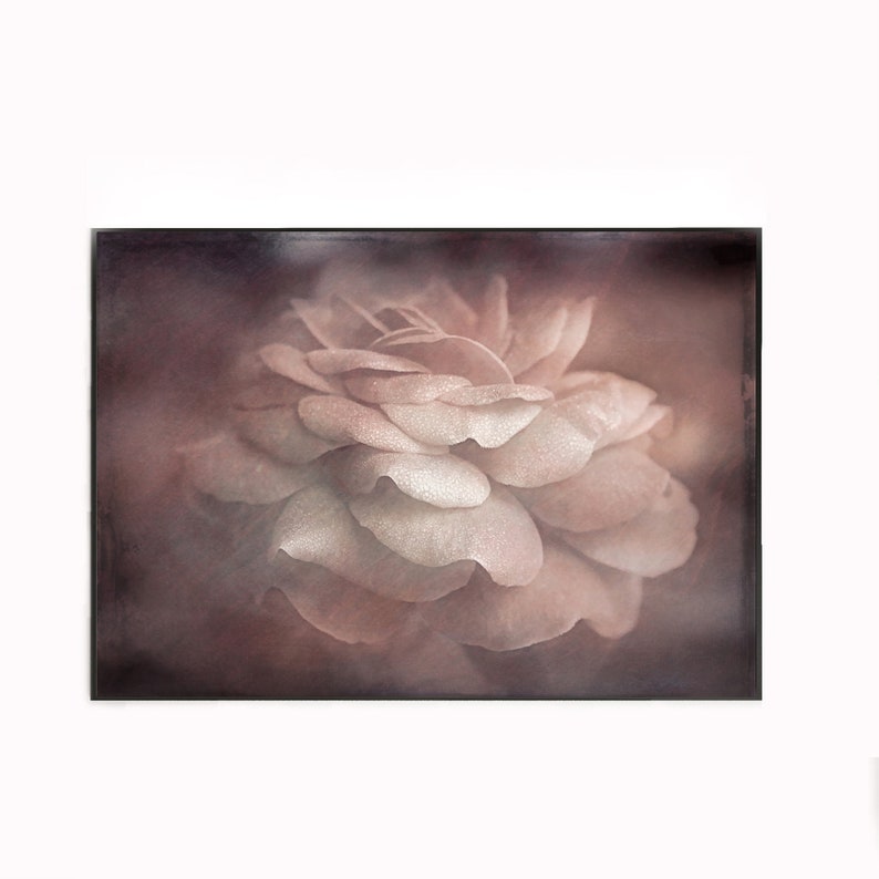 Rose Wall Art, Rose Photograph, Fine Art Print, Gift for Her, Painterly ...