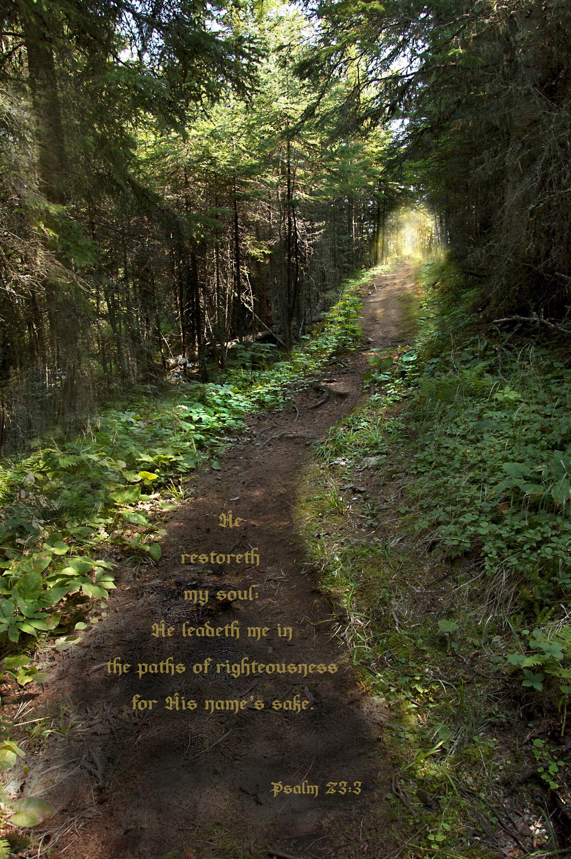 Inspirational Picture, Inspirational Art, Psalm 23:3, Inspirational ...
