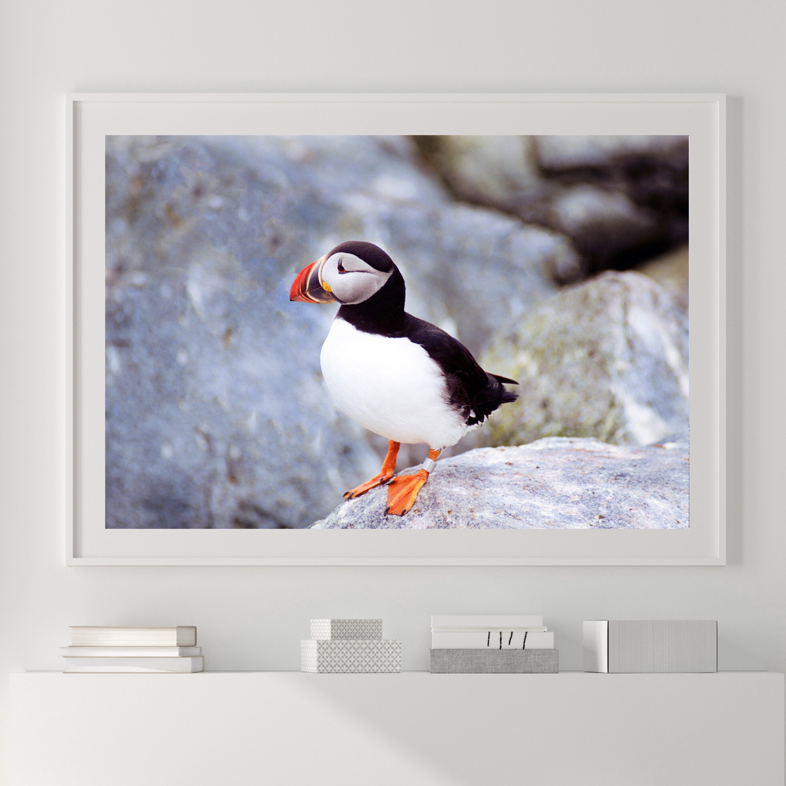 Puffin Print, Puffin Wall Art, Bird Prints, Gift Idea, Maine Fine Art ...