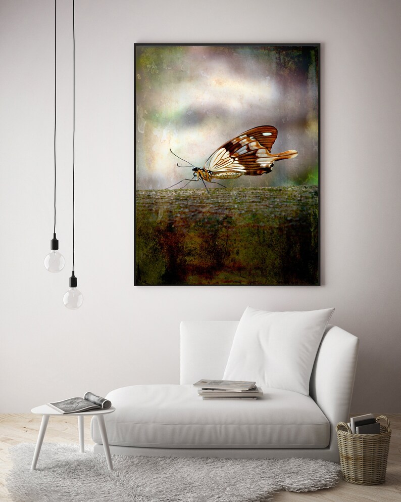 Moth Photography Print, Moth in the Woods Photograph, Nature Fine Art ...