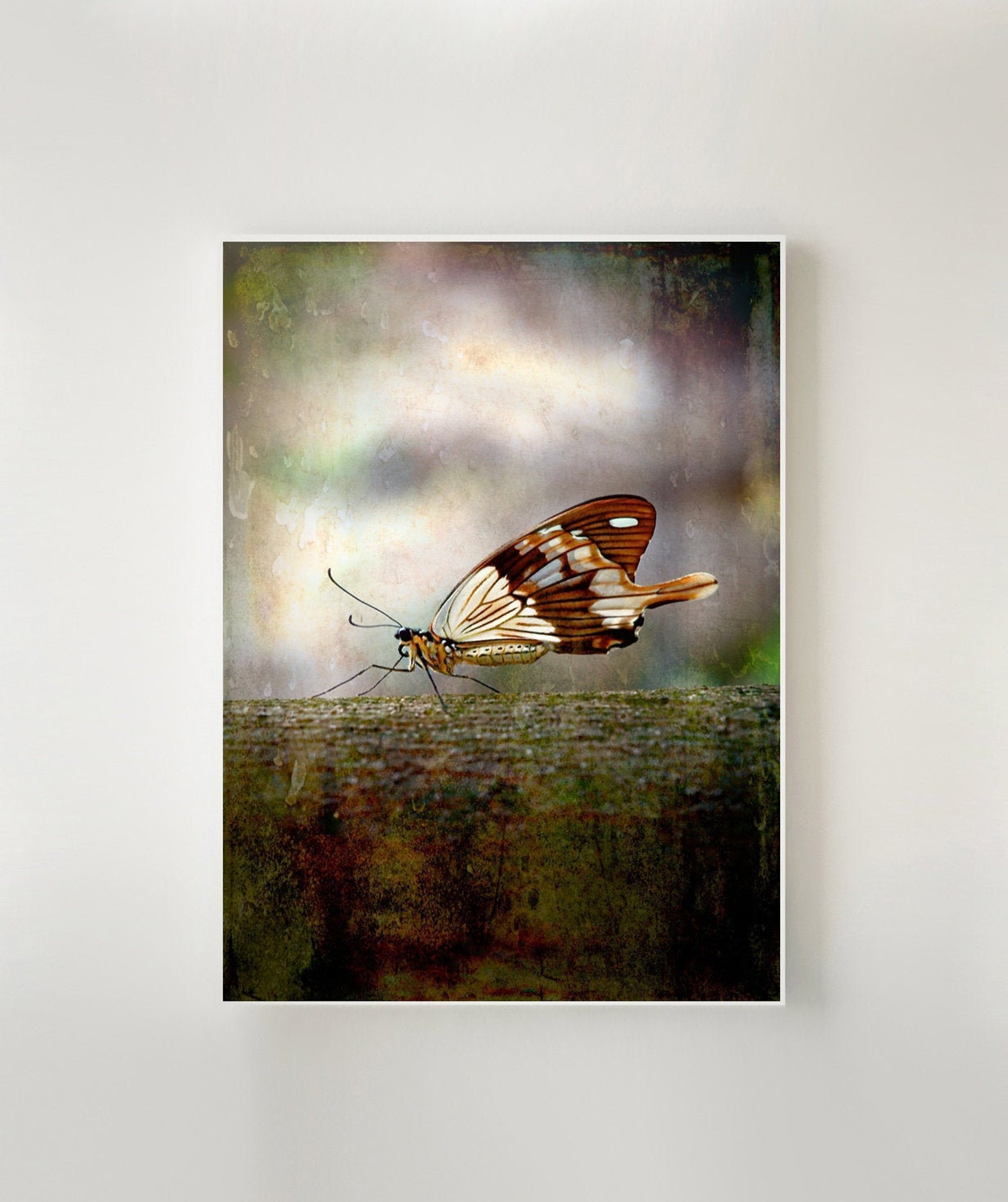 Moth Photography Print Moth in the Woods Photograph Nature | Etsy