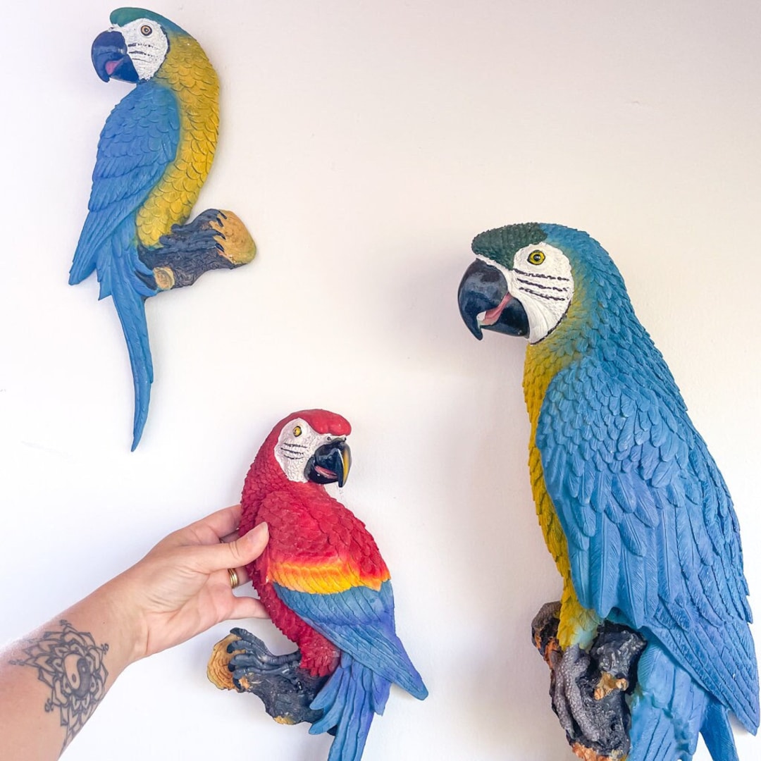 Bird Wall Mount / Parrot Wall Decor / Large Colourful Caribbean Macaw ...