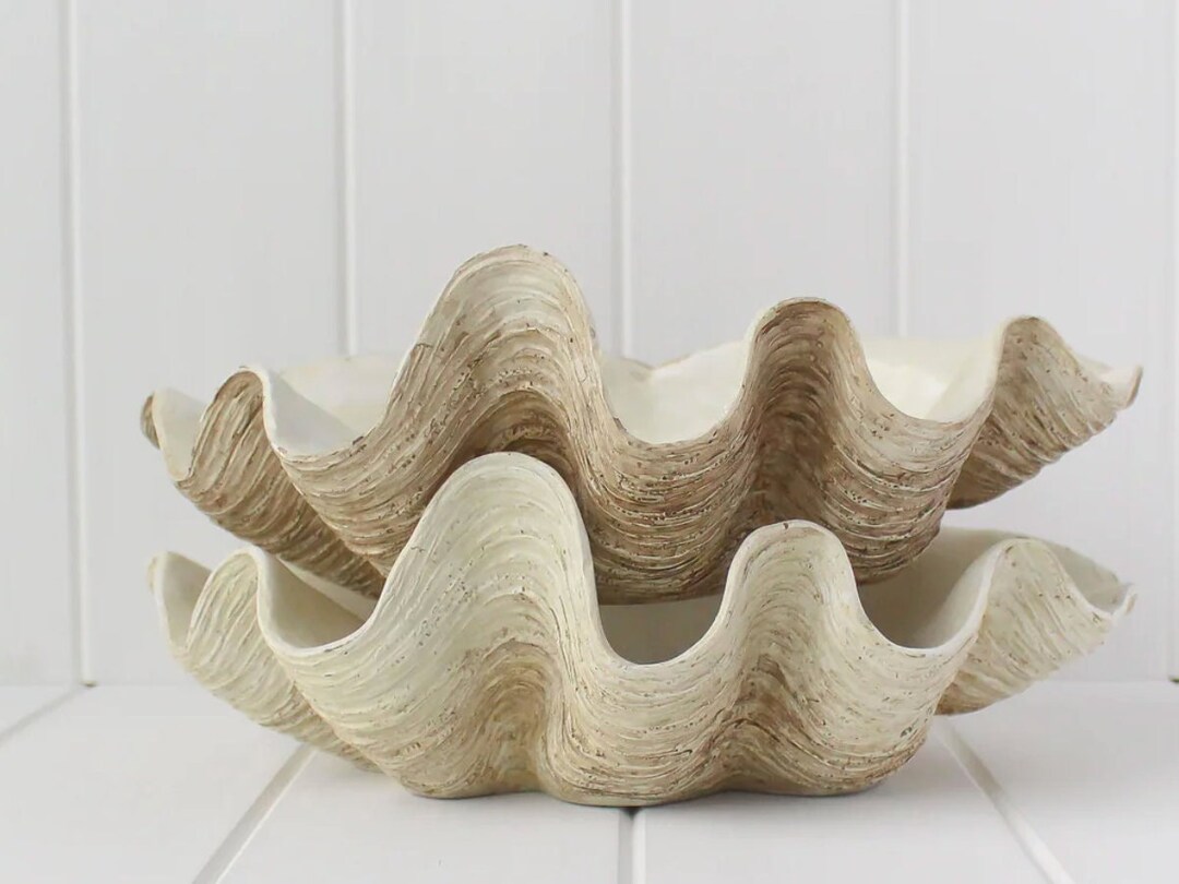 Clam Shell Bowl Faux Ethical Clam Shell Bowl Nautical Hamptons Decor ...