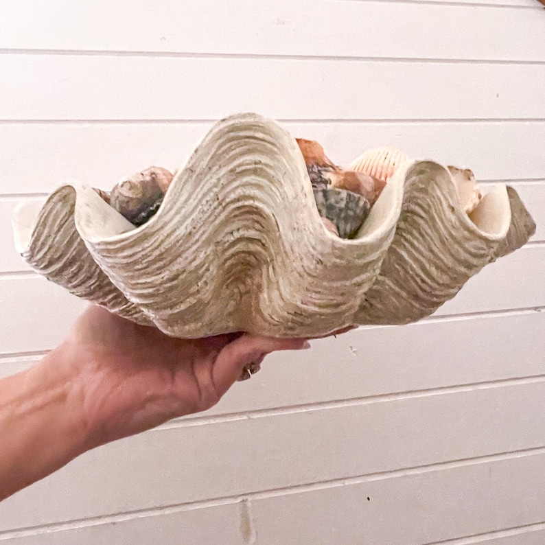 Hand Painted Resin Clam Shell Bowl, Nautical Decor - Etsy