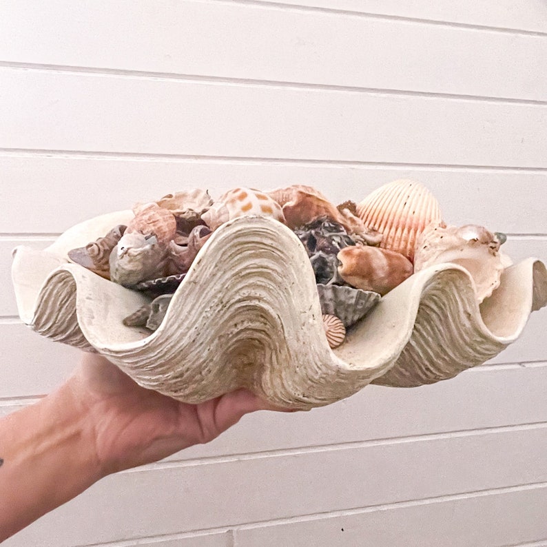 Hand Painted Resin Clam Shell Bowl, Nautical Decor - Etsy