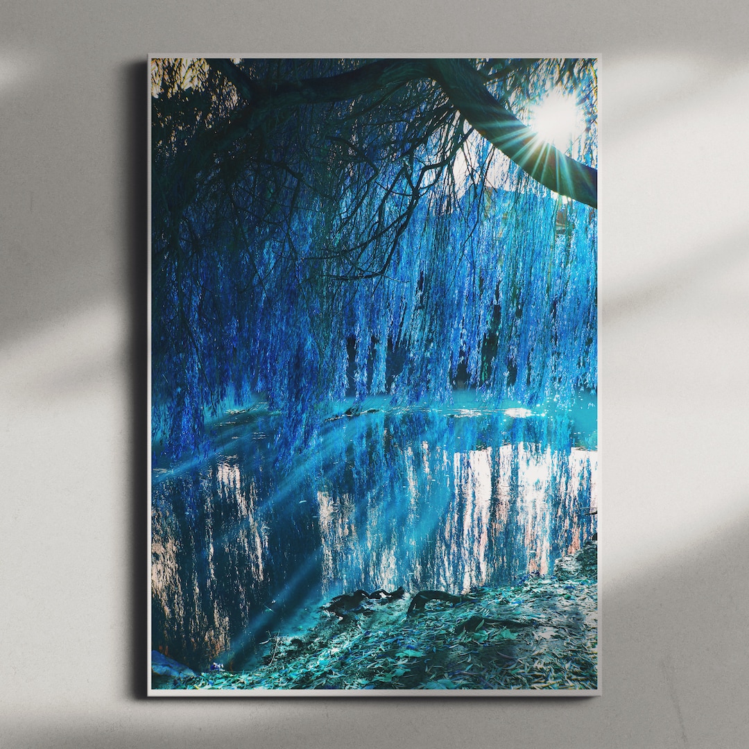 Sunlight Through Blue Willow Tree Photo Print / A3 A4 A5 / Blue Green ...