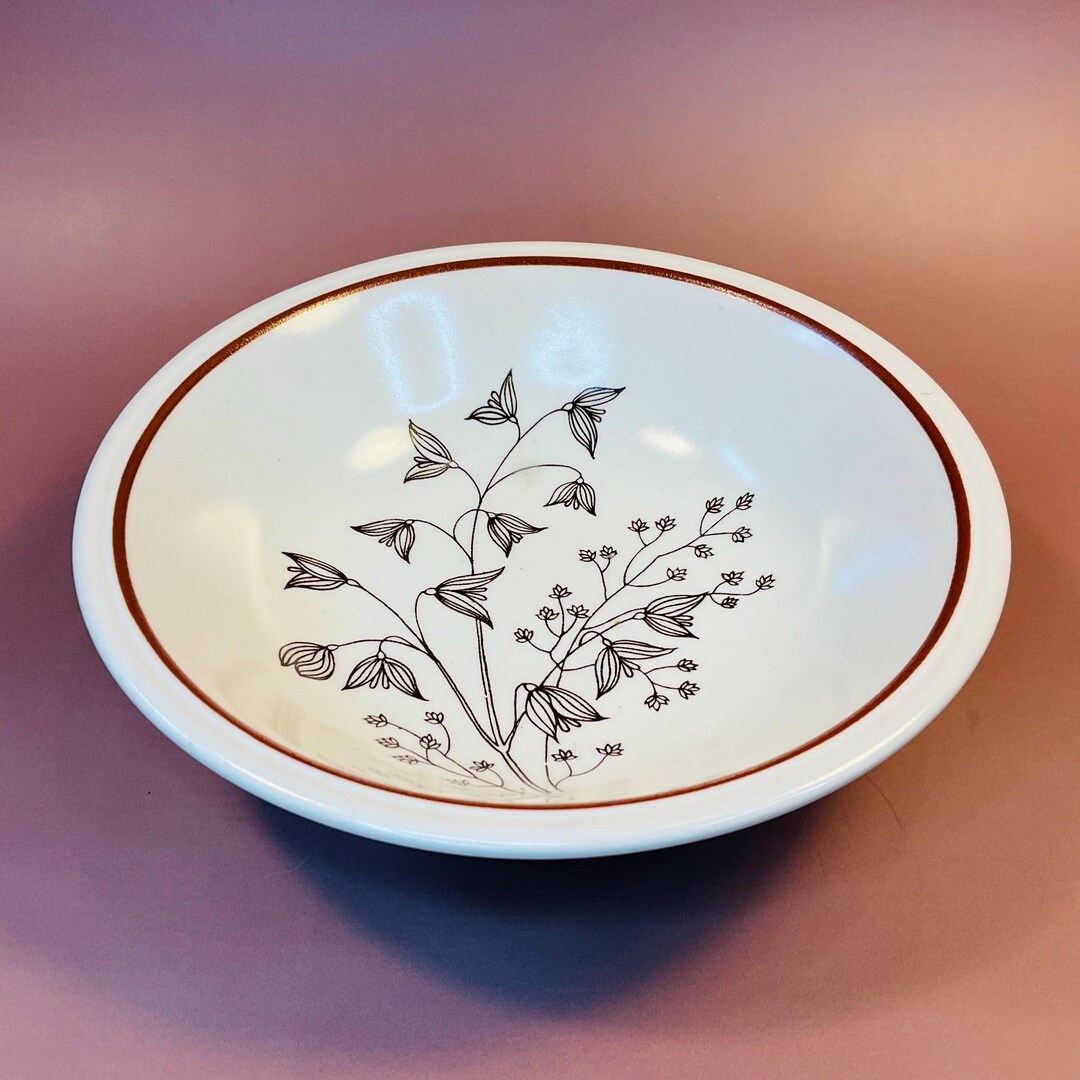 1970s Vintage Biltons Beige and Brown Floral Soup or Cereal Bowls ...