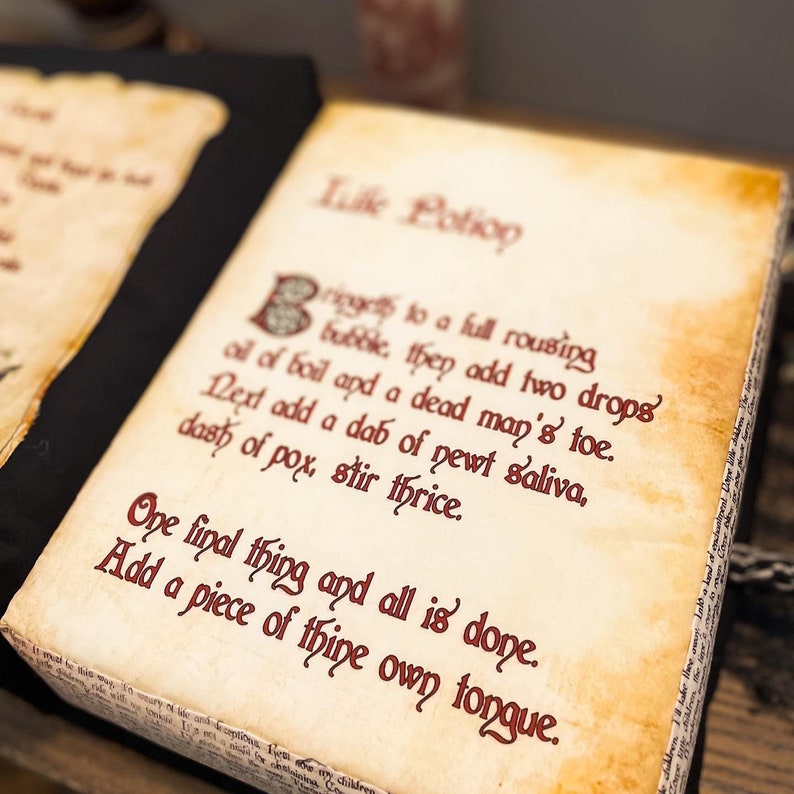 Spell Book Pillow - Etsy UK