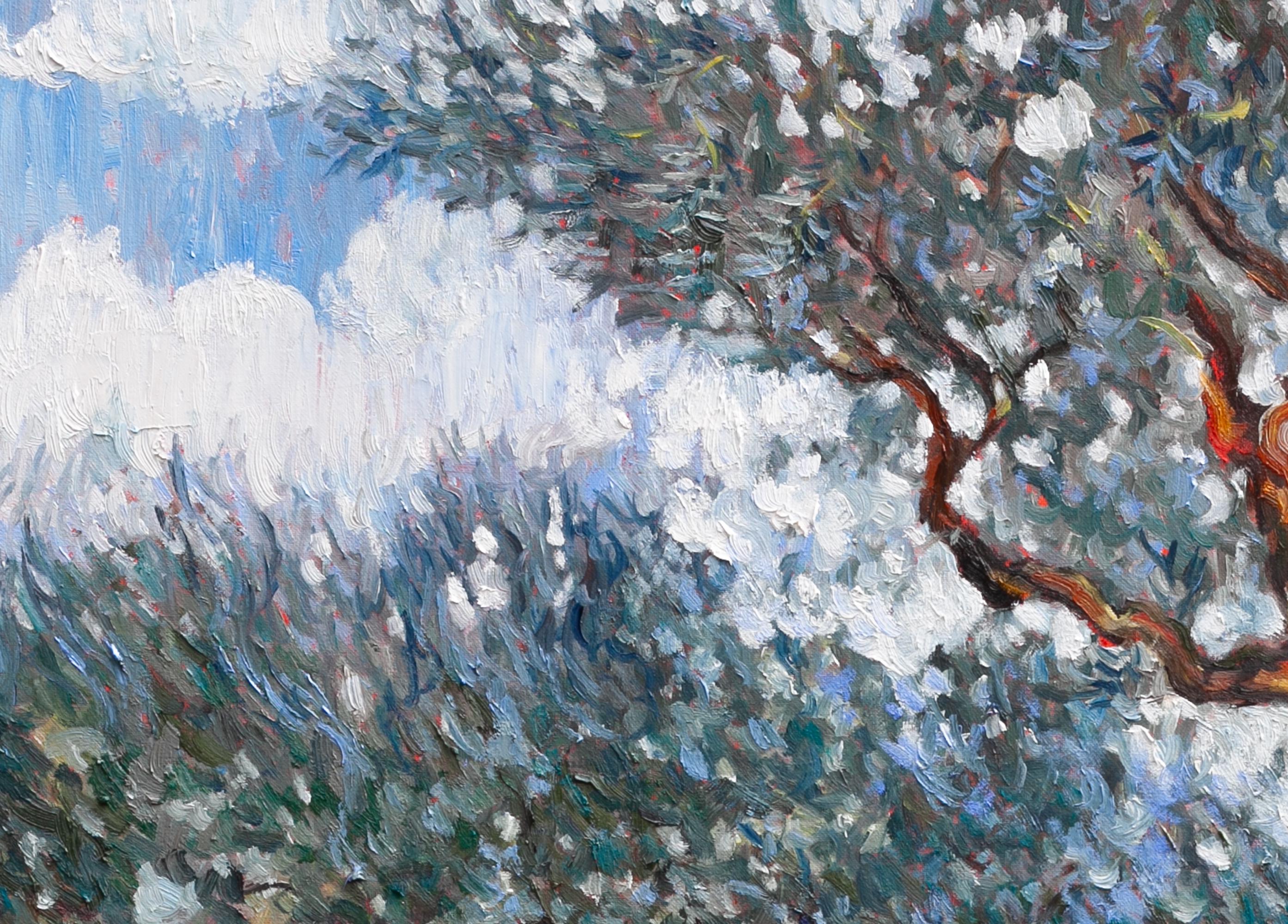 Olive Grove Original Oil Painting Expressive Colourful Landscape Olive ...