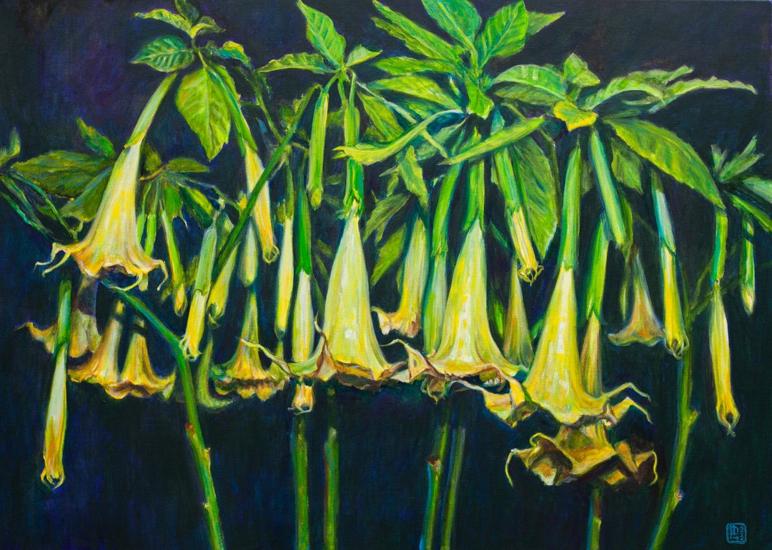 Angels Trumpets Original Oil Painting Night Flowers Collectible Floral ...