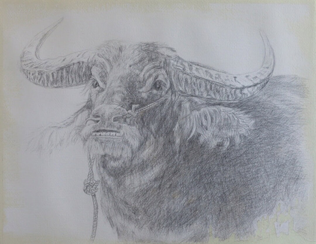 THE BULL Original SILVERPOINT Drawing Unique Artwork Collectible Art ...