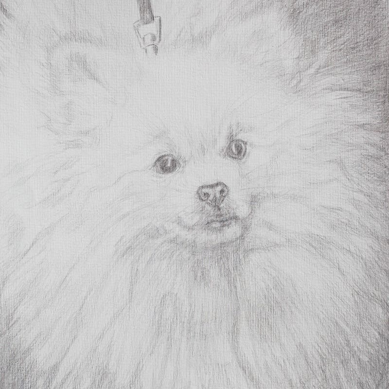 Silverpoint Drawing - Etsy UK