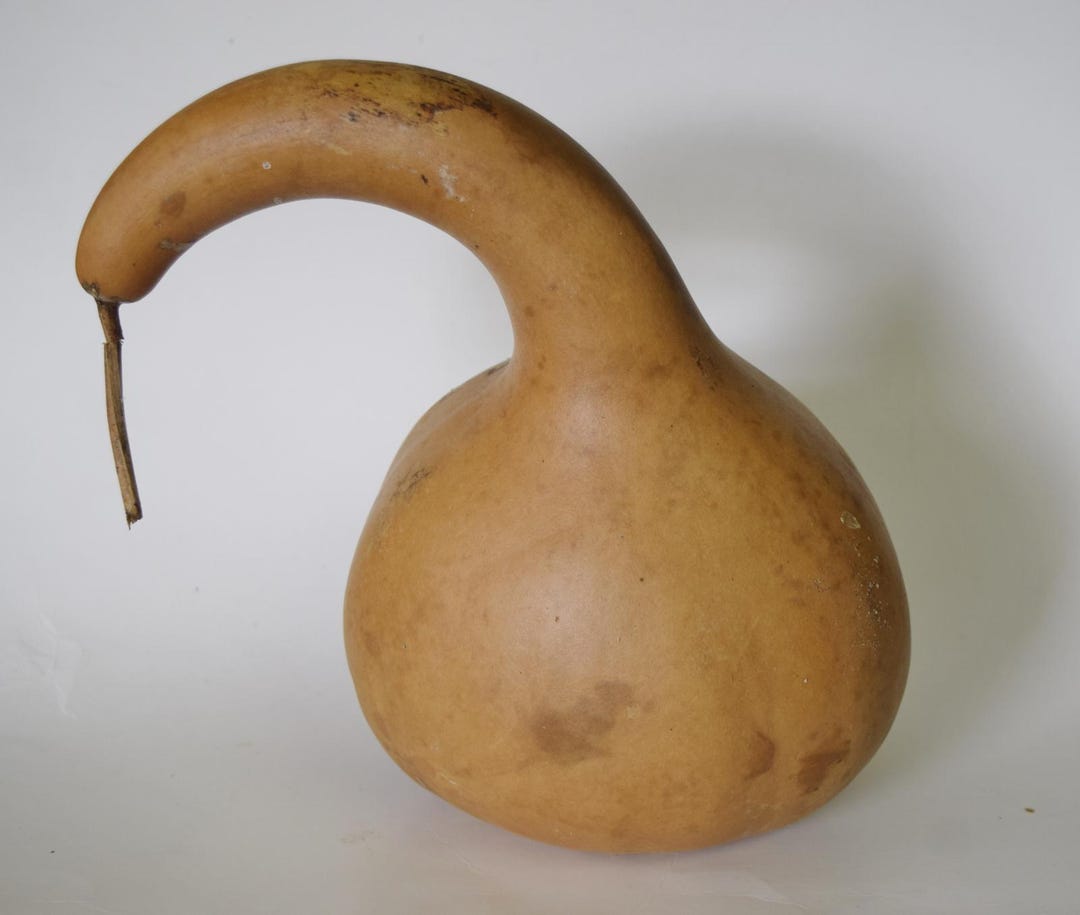 One Dried Dipper Gourd for Crafts - Etsy