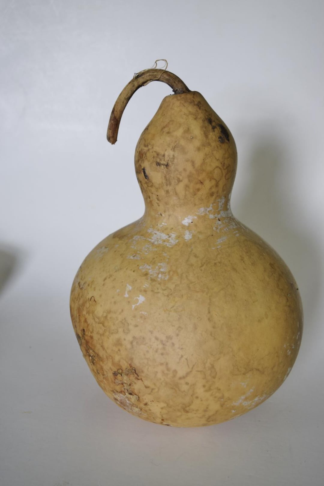 One Dried Birdhouse Gourd, for Crafts - Etsy