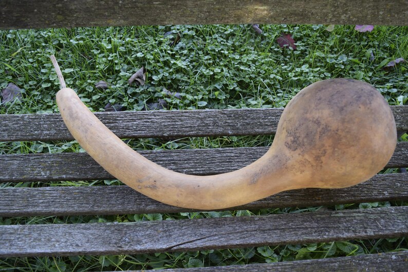 One Dried Dipper Gourd, for Crafts - Etsy
