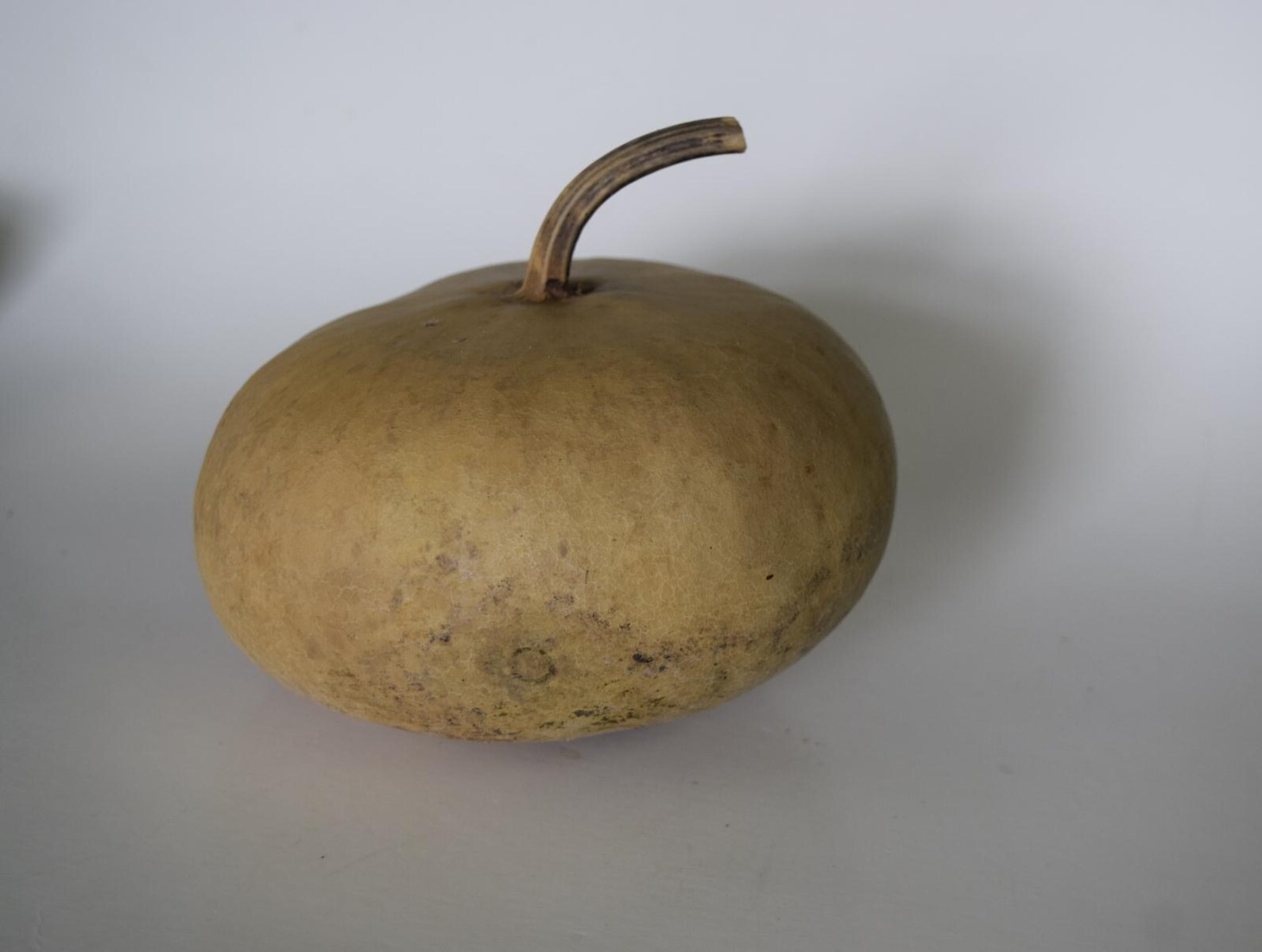 One Dried Canteen Gourd, for Crafts - Etsy