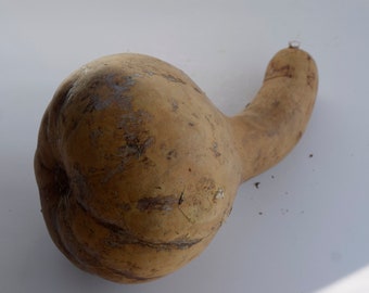 One Dried Dipper Gourd, for Crafts - Etsy
