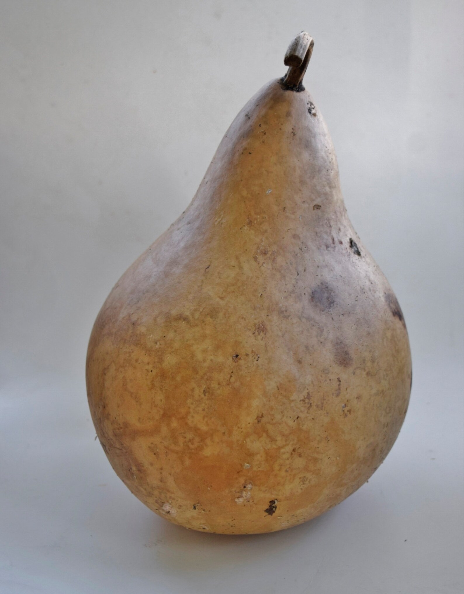 One Dried Martin Gourd for Crafts - Etsy