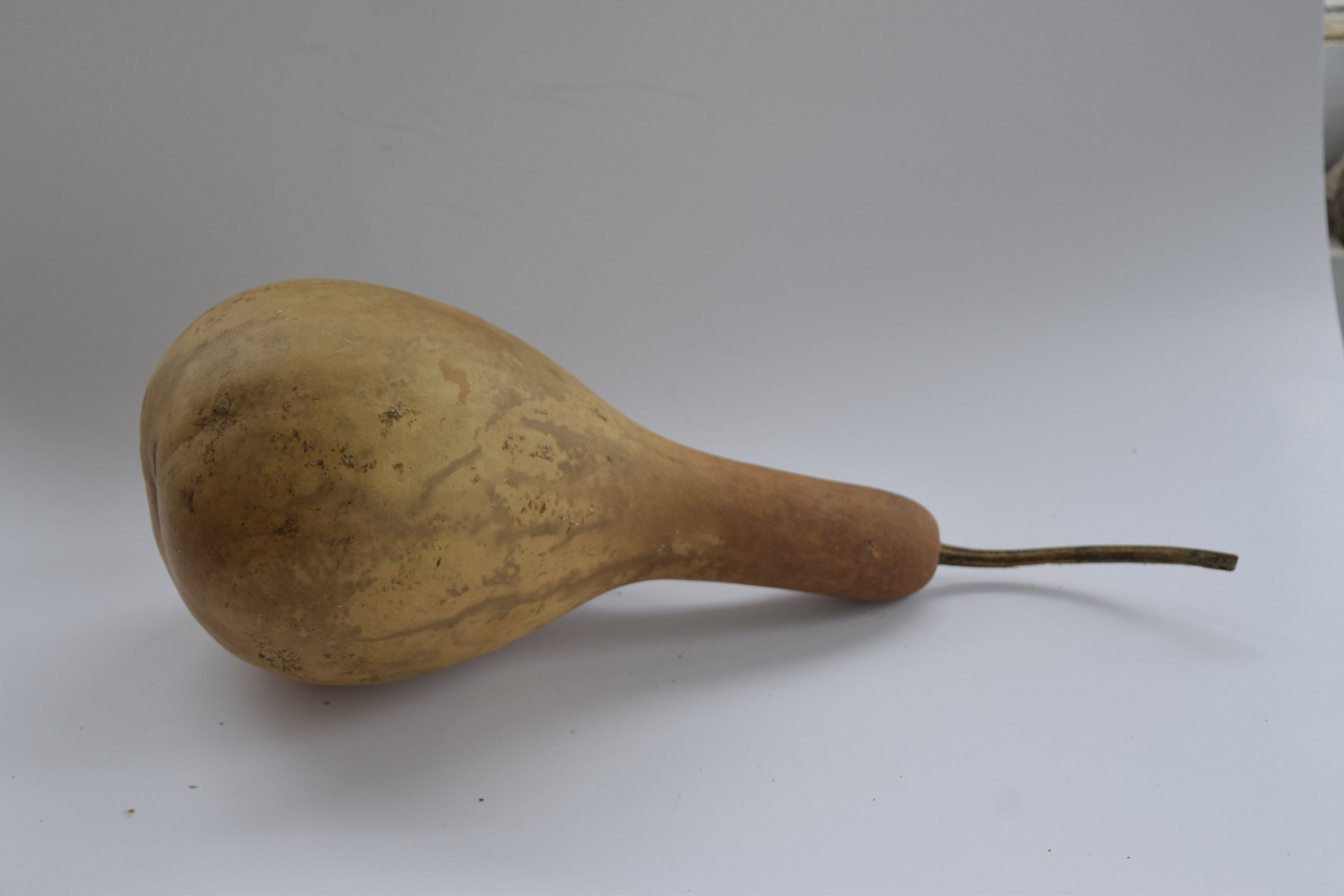 One Dried Dipper gourd for crafts Visual Arts Painting etna.com.pe