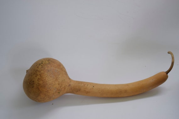 One Dried Dipper Gourd for Crafts - Etsy