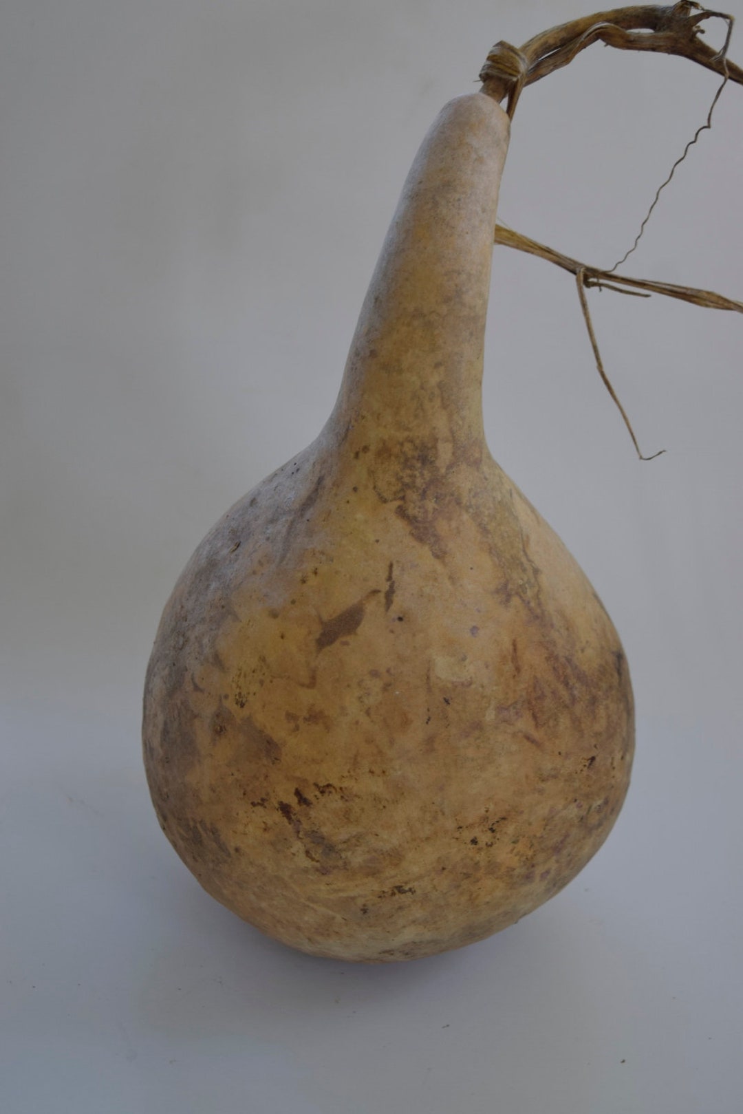 One Dried Dipper Gourd, for Crafts - Etsy
