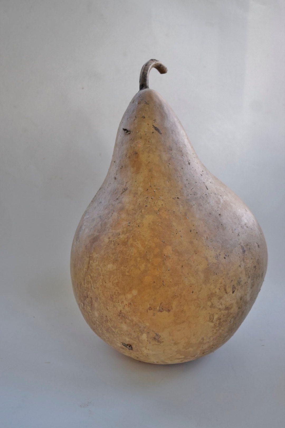 One Dried Martin Gourd for Crafts - Etsy