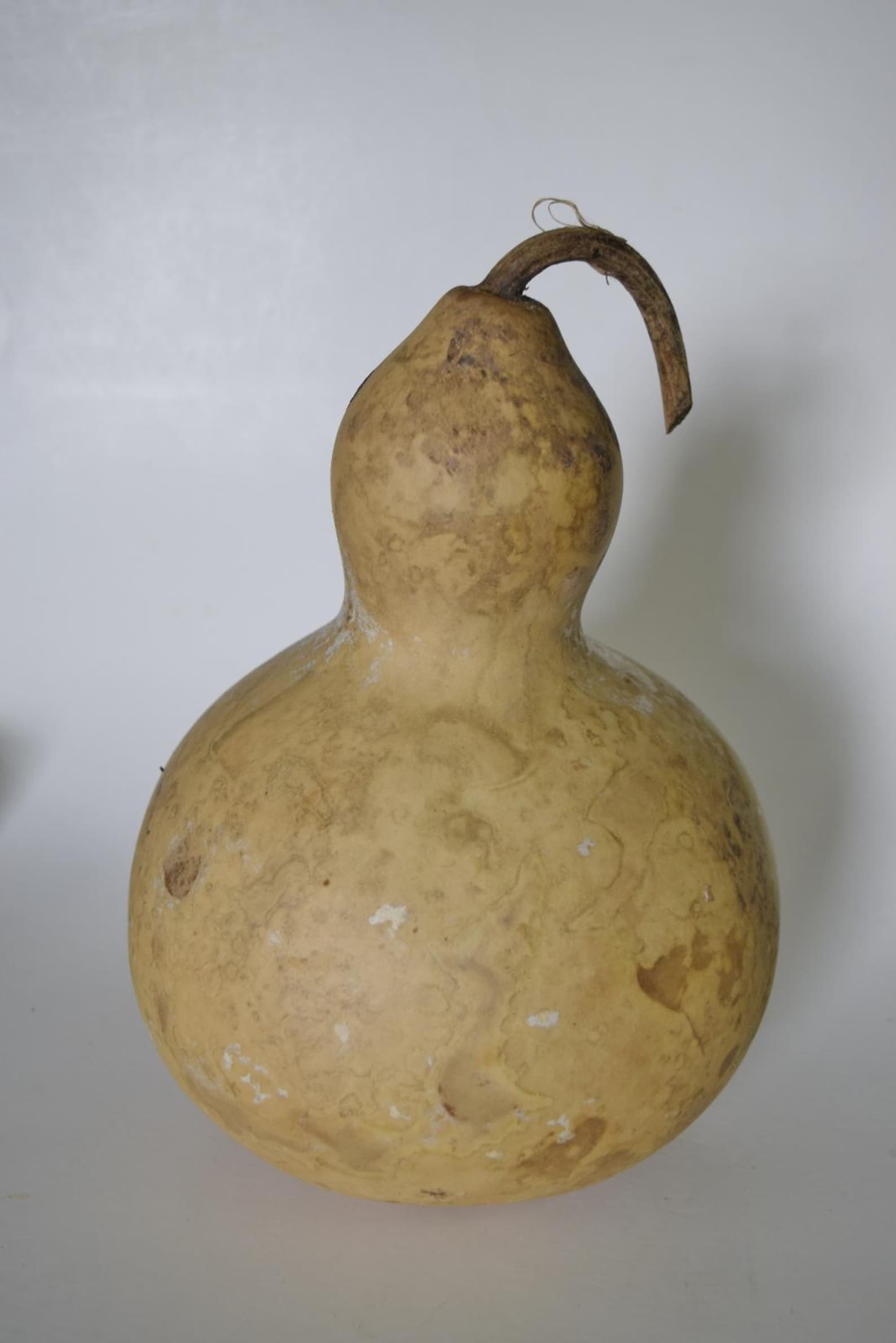 One Dried Birdhouse Gourd, for Crafts - Etsy