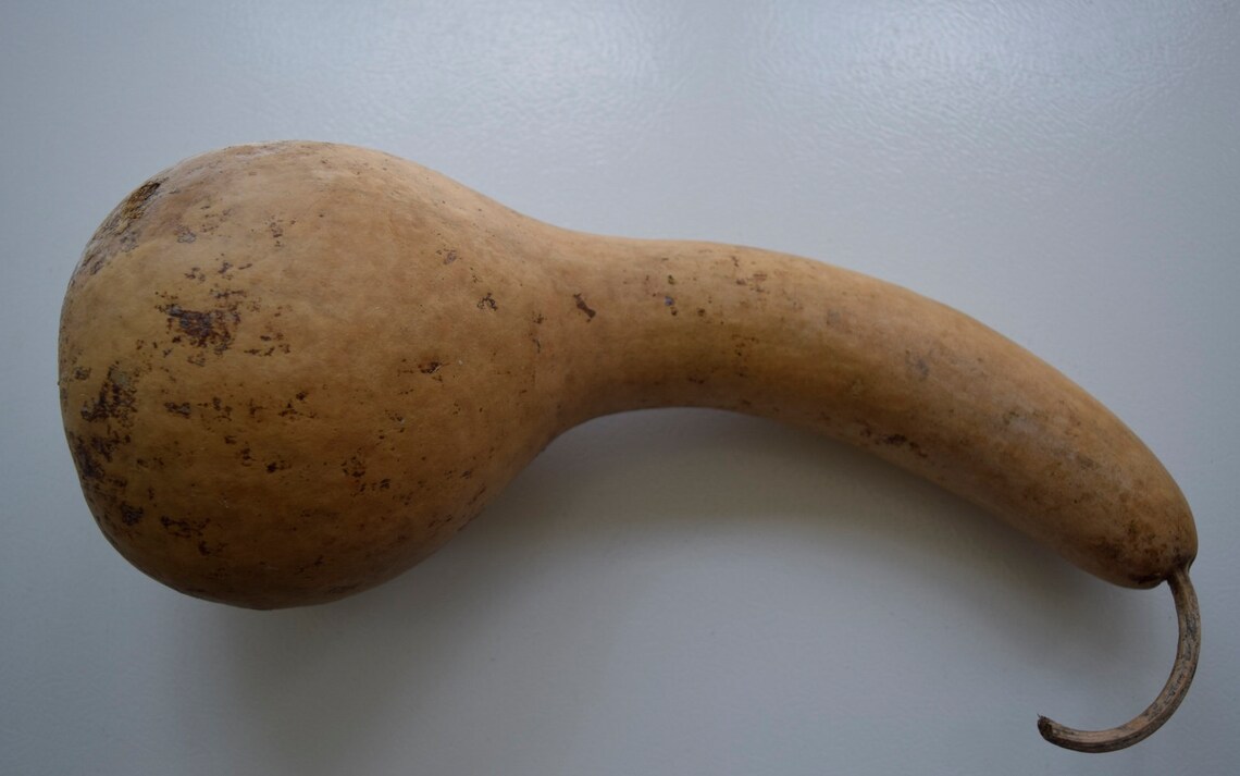 One Dried Dipper Gourd for Crafts - Etsy