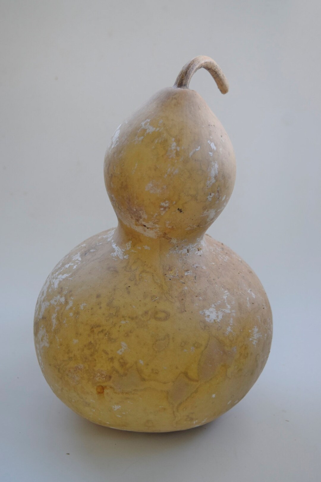 One Dried Birdhouse Gourd, for Crafts - Etsy