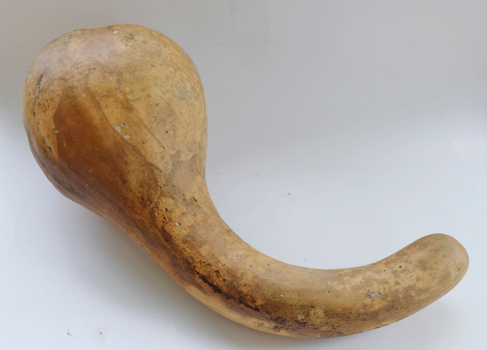 One Dried Dipper Gourd for Crafts - Etsy