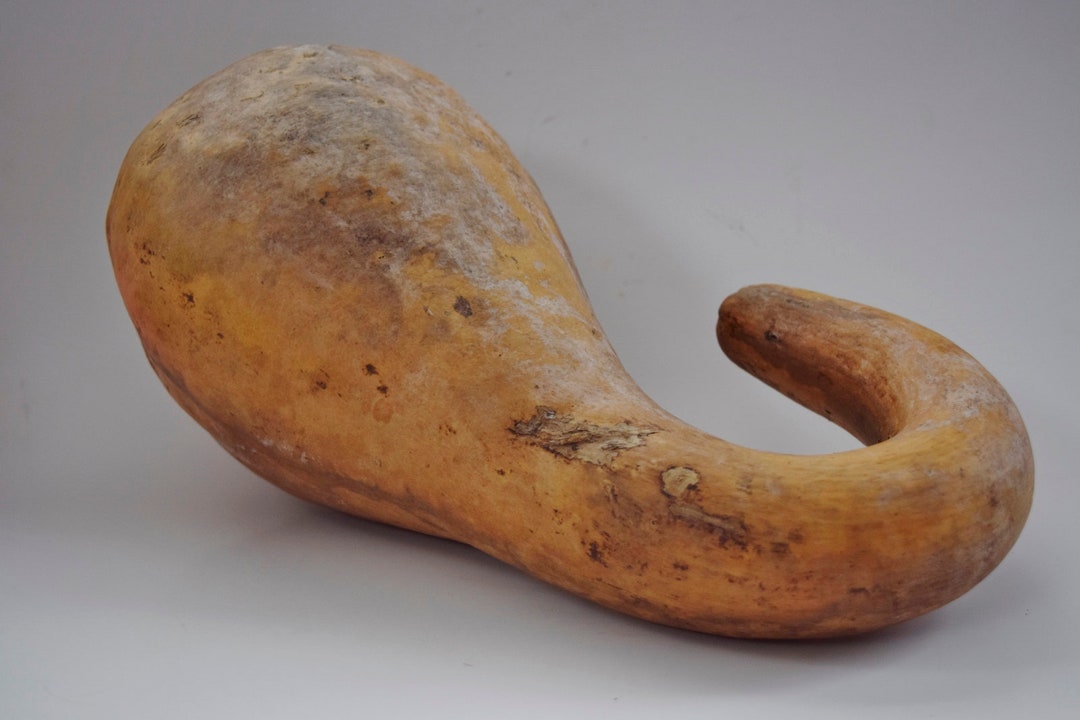 One Dried Dipper Gourd, for Crafts - Etsy