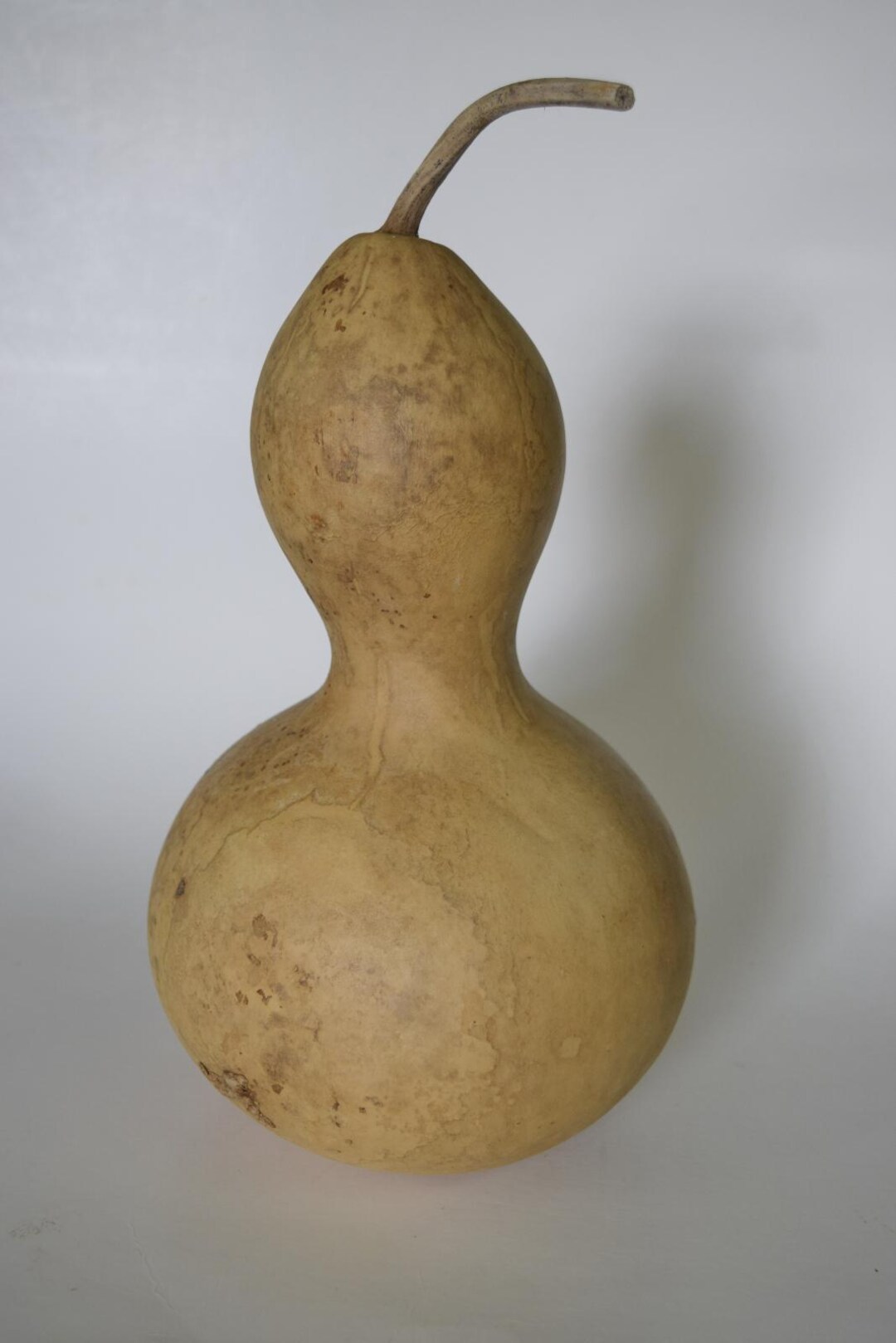 One Dried Birdhouse Gourd, for Crafts - Etsy