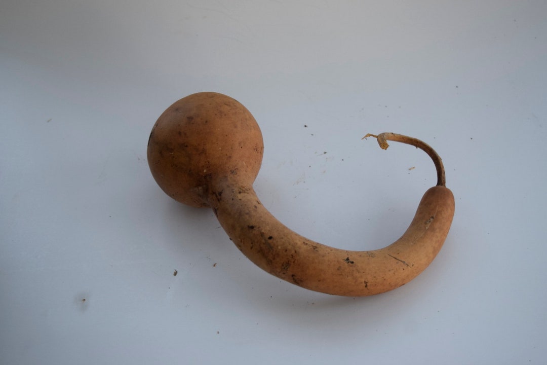 One Dried Dipper Gourd, for Crafts - Etsy
