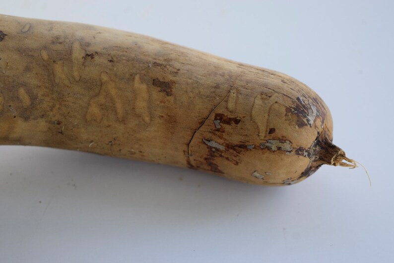 One Dried Dipper Gourd, for Crafts - Etsy