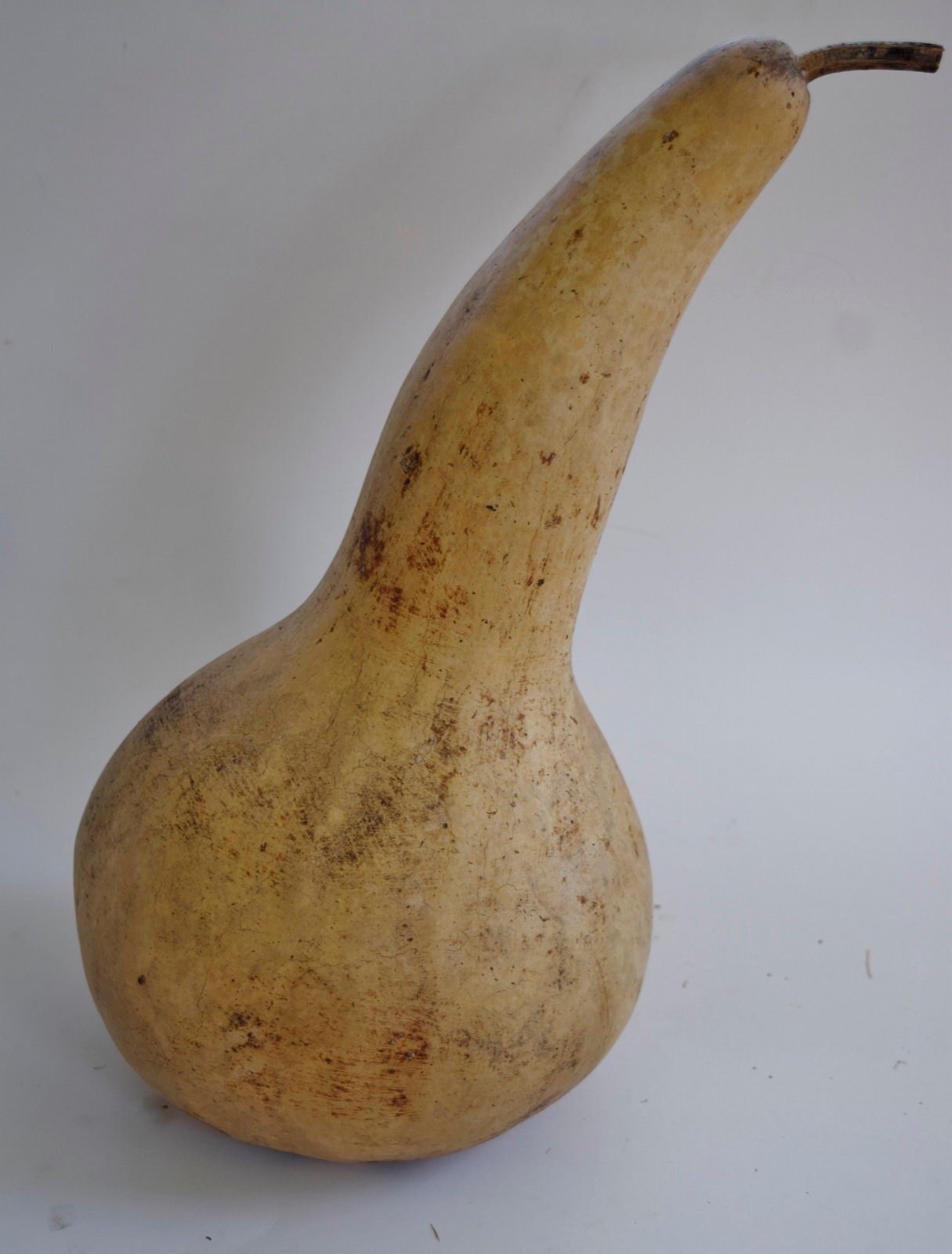 One Dried Dipper Gourd, for Crafts - Etsy
