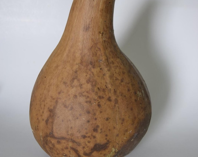 One Dried Dipper Gourd for Crafts - Etsy