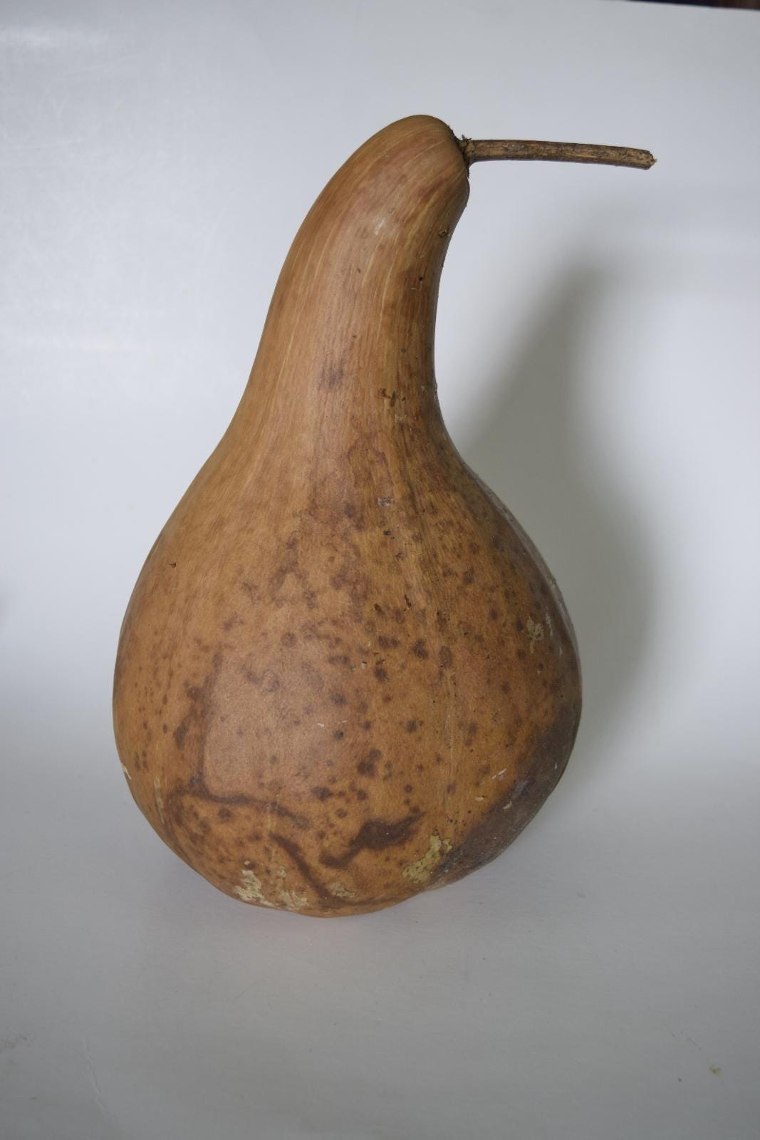 One Dried Dipper Gourd for Crafts - Etsy