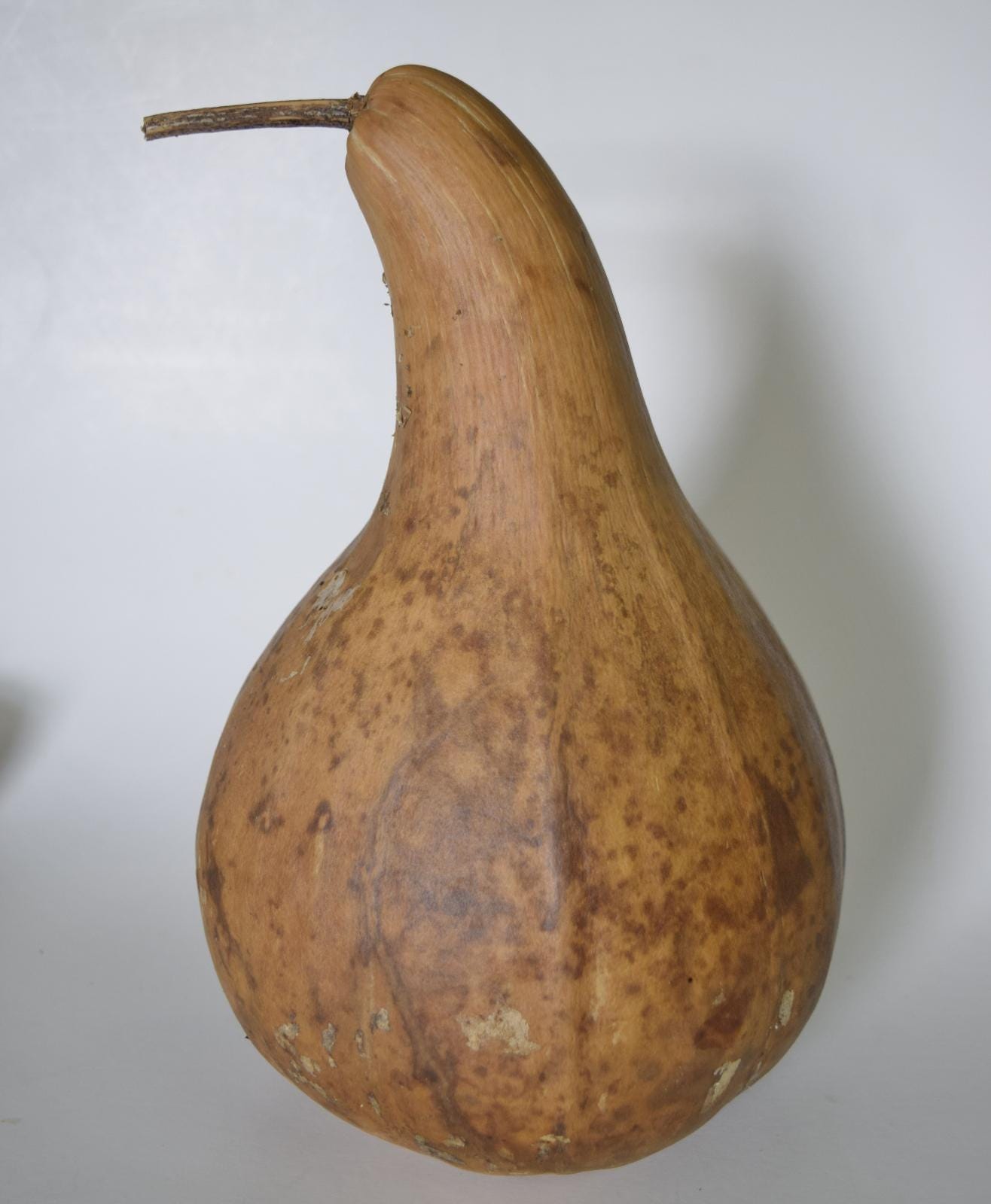 One Dried Dipper Gourd for Crafts - Etsy