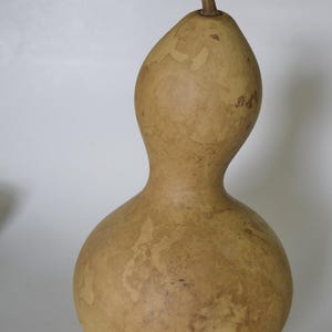 One Dried Birdhouse Gourd, for Crafts - Etsy
