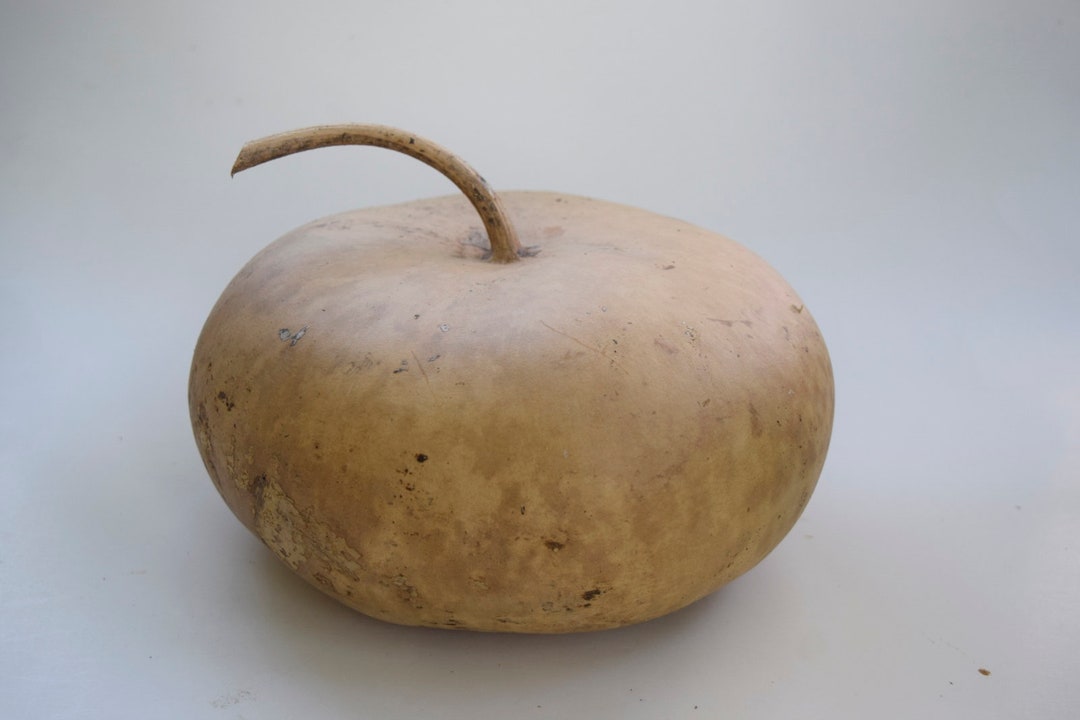 One Dried Canteen Gourd, for Crafts - Etsy