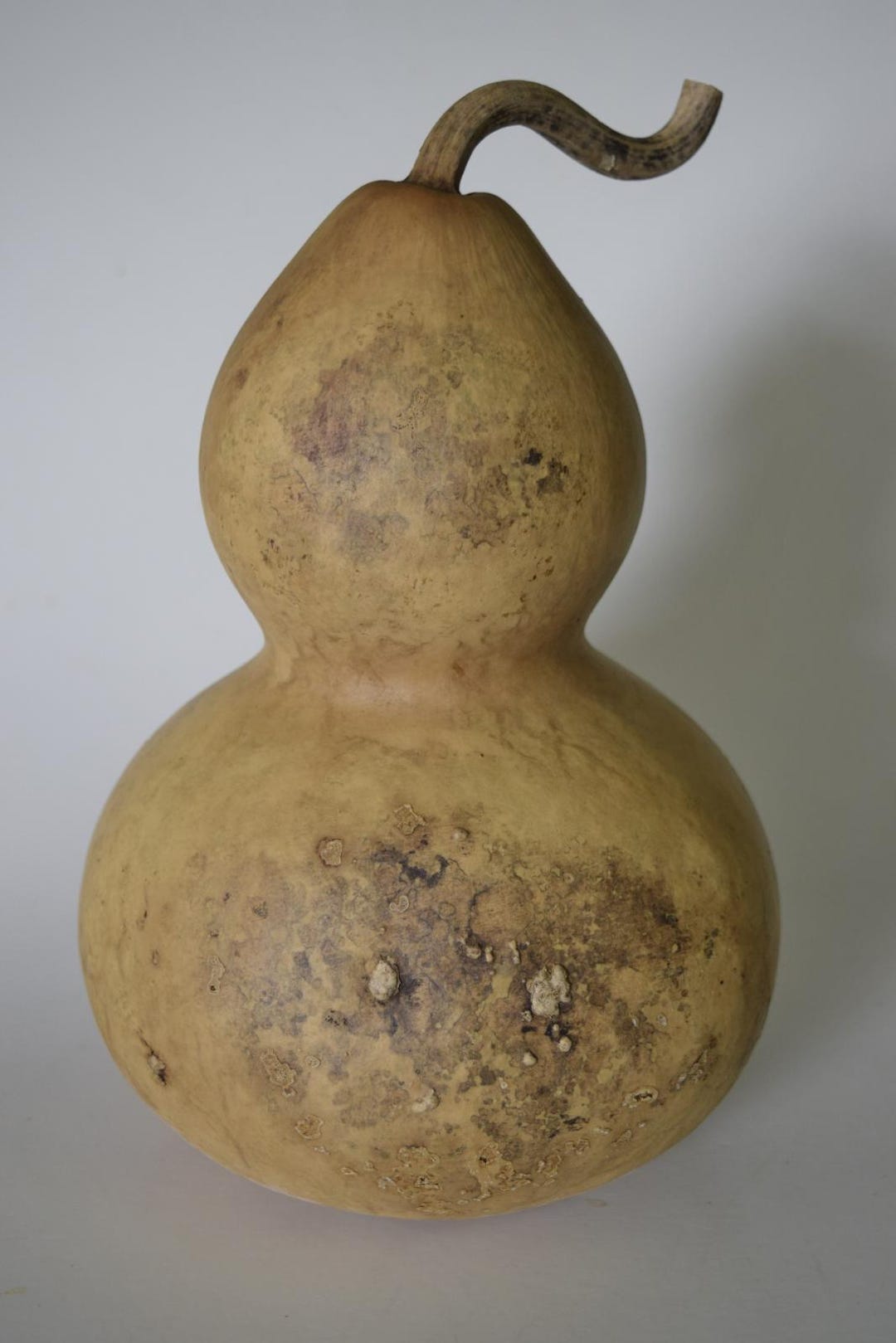 One Dried Birdhouse Gourd, for Crafts - Etsy