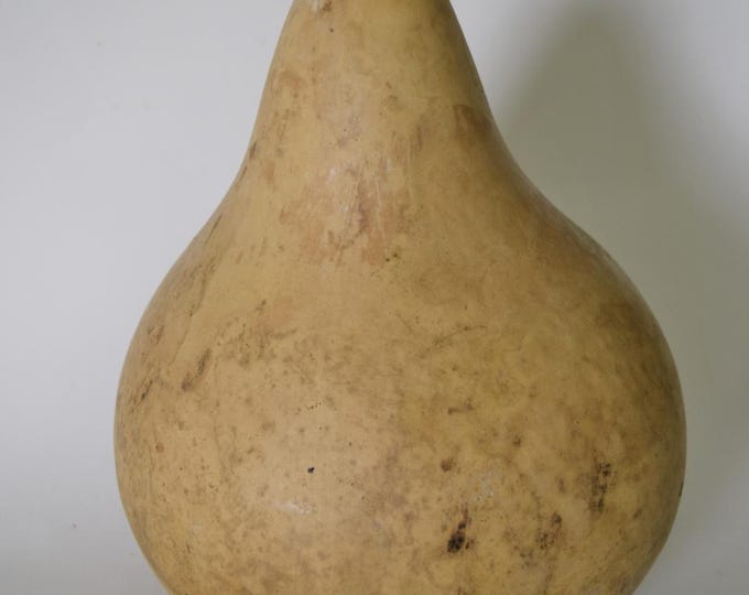 One Dried Martin Gourd for Crafts - Etsy