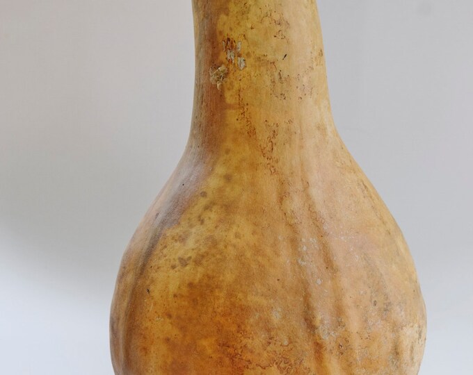One Dried Dipper Gourd for Crafts - Etsy
