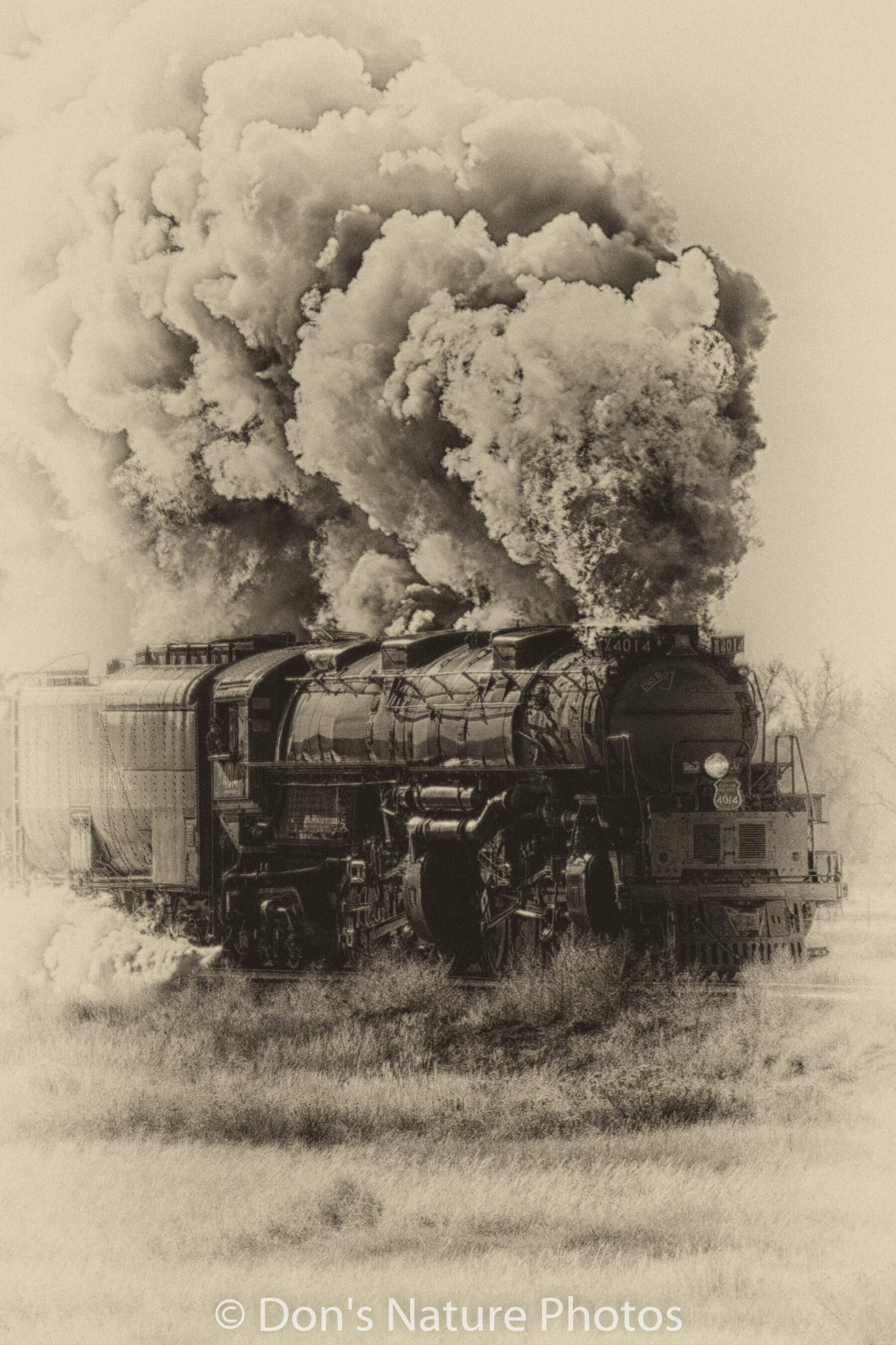 Union Pacific Big Boy Drawing