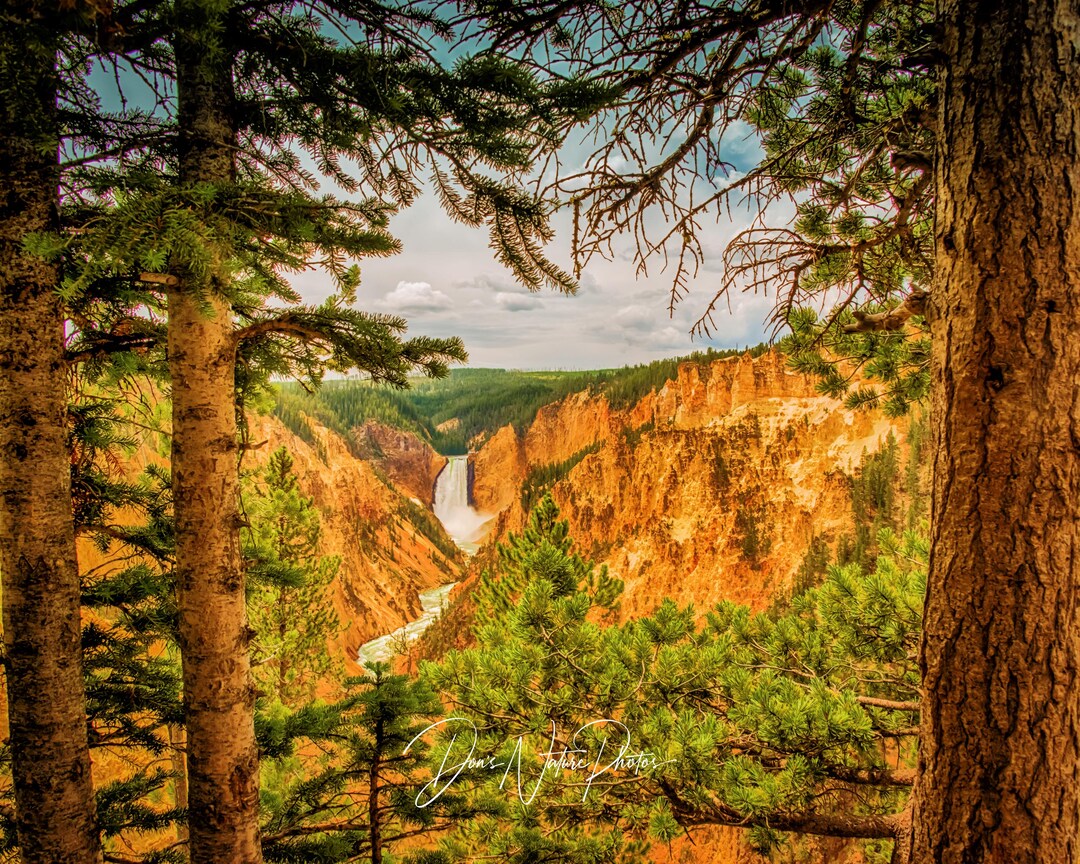 Lower Falls of the Yellowstone. Canvas (black Wrap), Metallic Paper ...