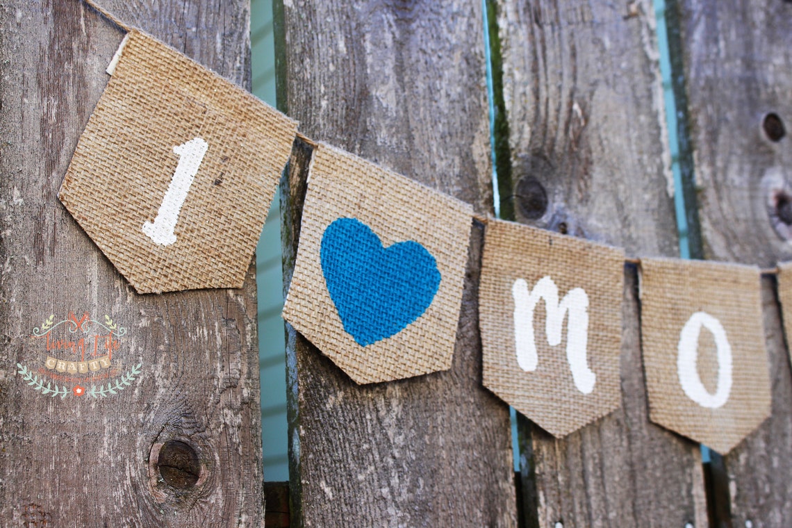 Baby Milestone Banner Celebrate by Month Monthly Photos | Etsy