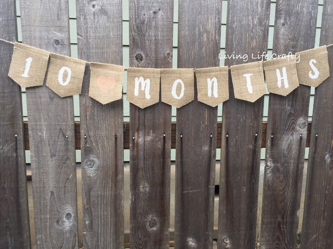 Baby Milestone Banner Celebrate by Month Monthly Photos | Etsy