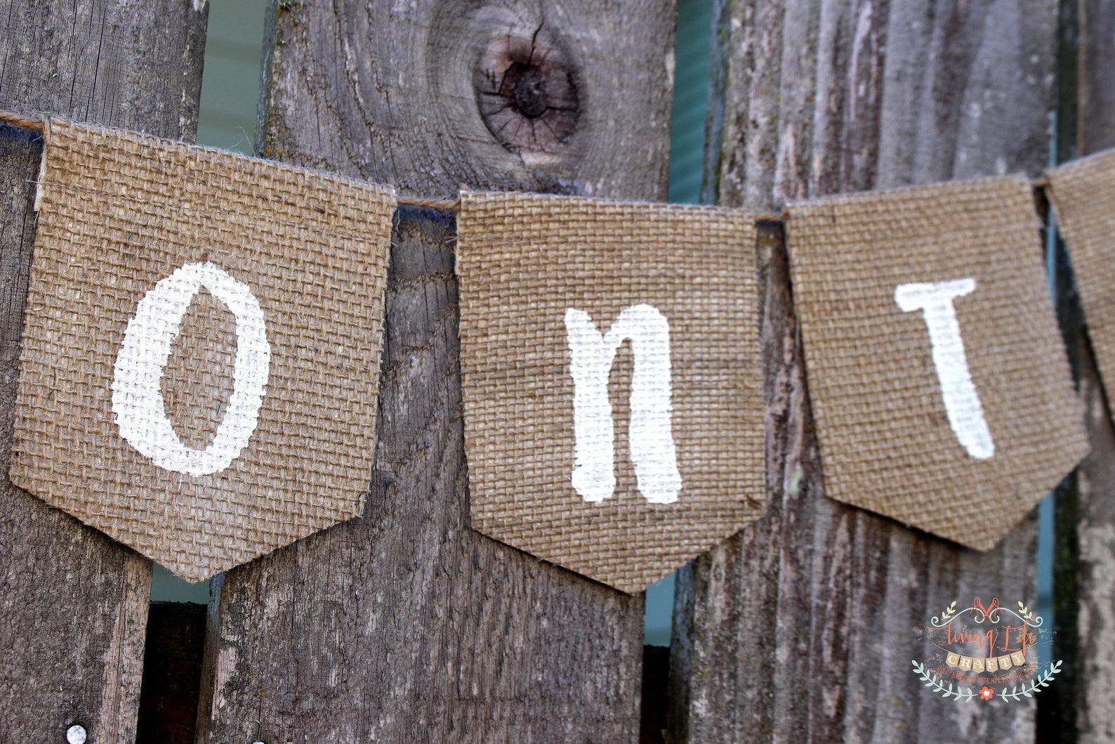 Baby Milestone Banner Celebrate by Month Monthly Photos | Etsy