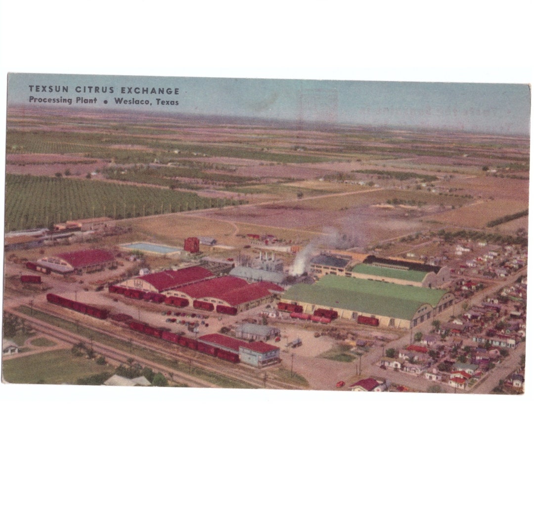 Texas Postcard Texsun Citrus Exchange Processing Plant, Weslaco Unused ...